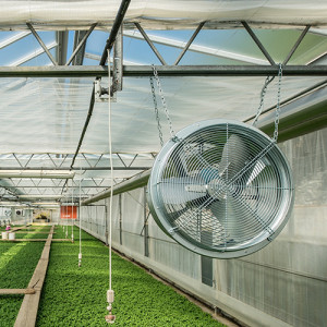 LS - Tools & Equipment