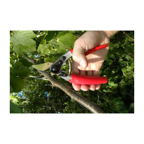 LS - Felco No12 Compact Deluxe