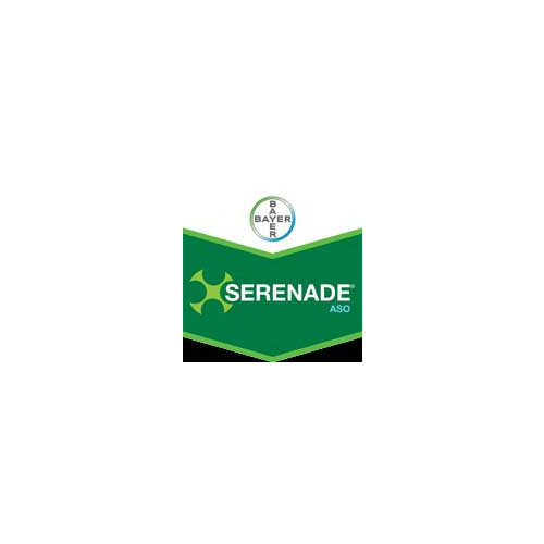 LS - Serenade ASO (MAPP 16139) [10L]