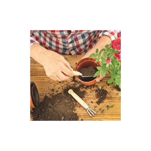 LS - Sinclair Nursery Stock Compost [75L] (45/P) - Each