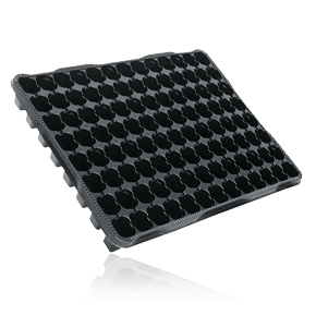 LS - Teku Series JP Tray 28x38 2.5x2.5cm x 104 plants - Each