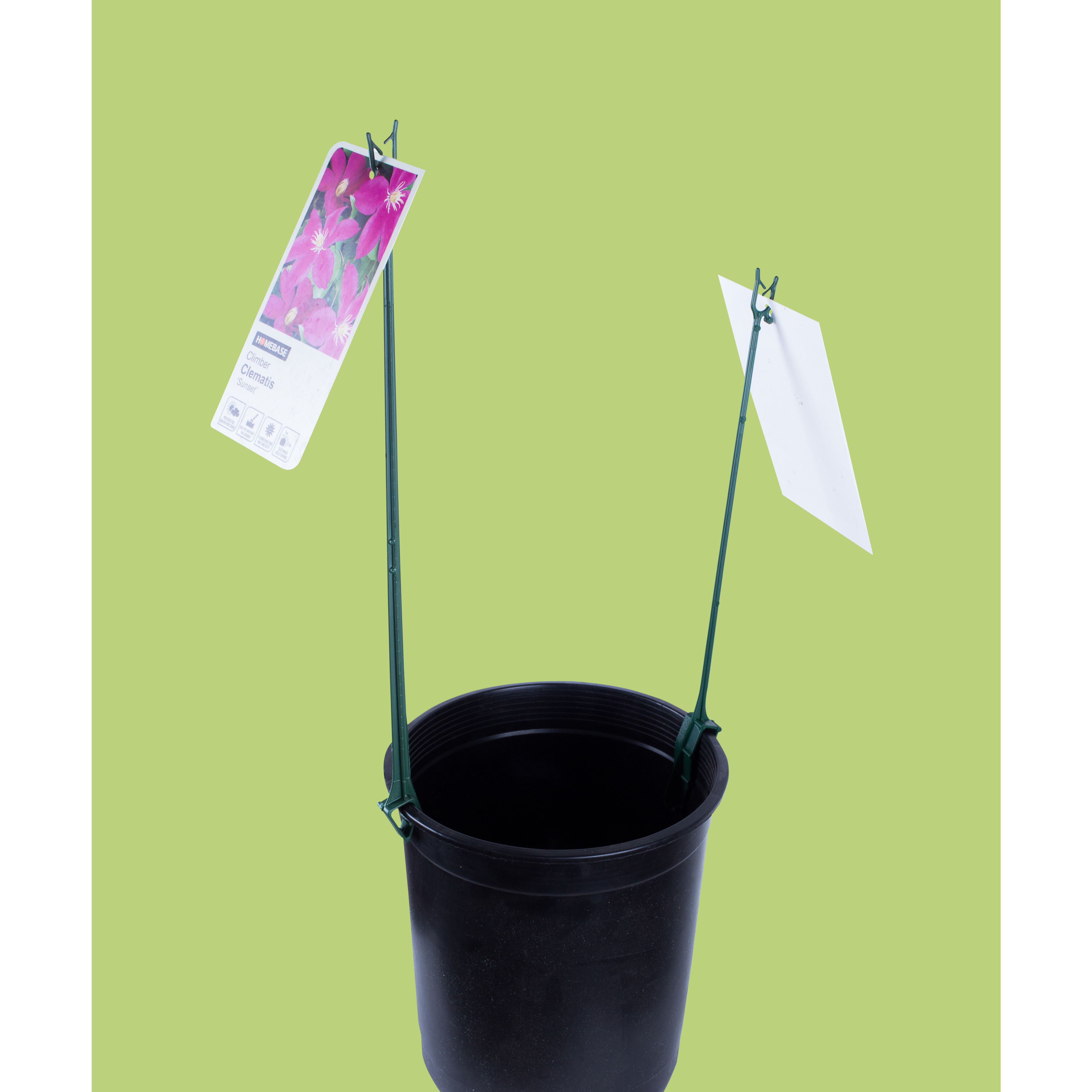 LS - Info Sticks 28cm - Box of 2500