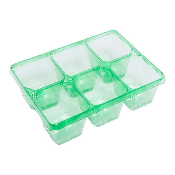 LS - Modiform Endpack 6 (Transparent Green R-PET) (4200/P,84x50/B) - Each