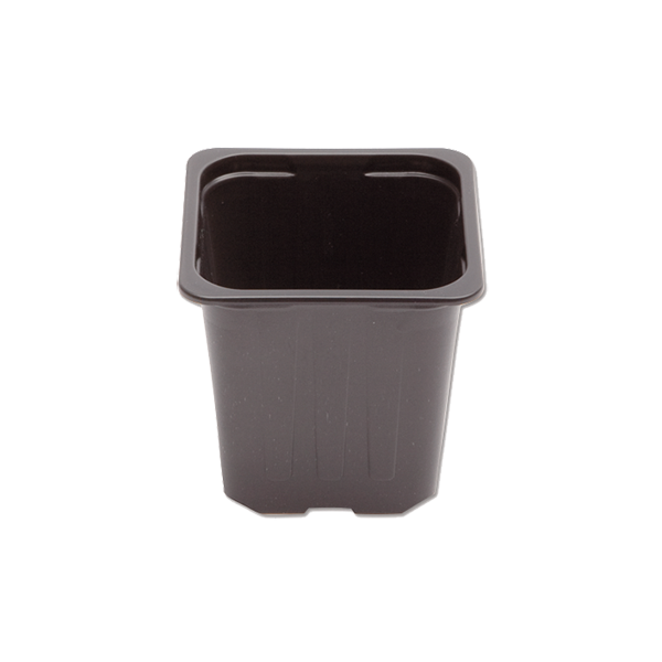 LS - Modiform Square Pot 7x7x6.5cm 8 Hole (Black) (4464/Box) - Each