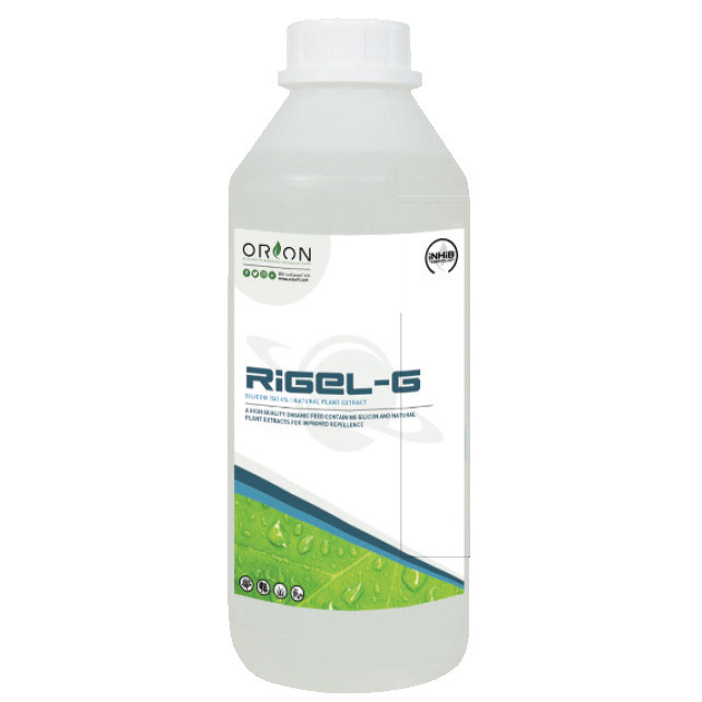 LS - Rigel G - Vine Weevil Management
