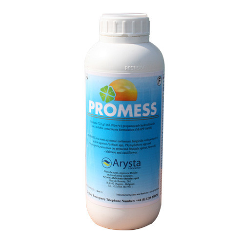 LS - Promess (MAPP 16008) [1L]