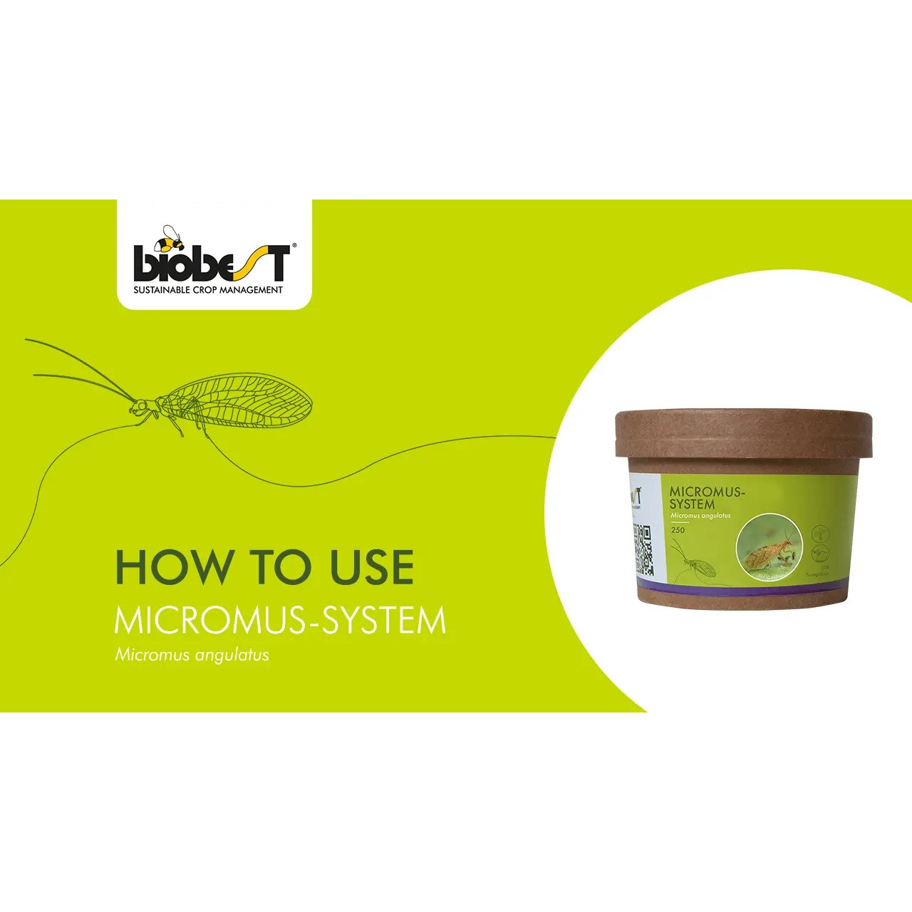 LS - Micromus-System - 250