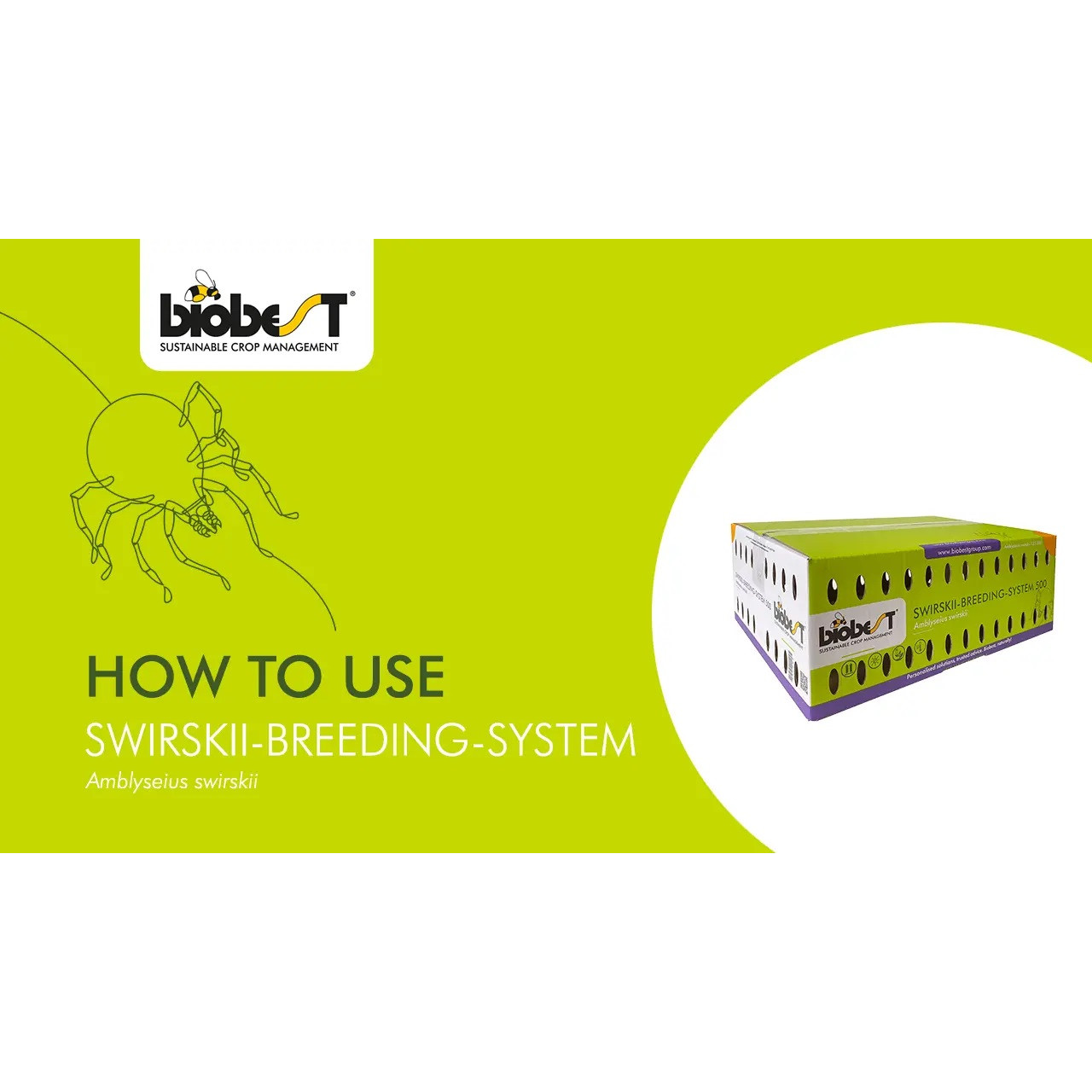 LS - Swirskii-Breeding-System - 100 sachets