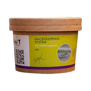 LS - Macrolophus-System - 500