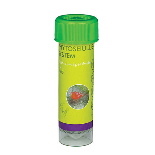 LS - Phytoseiulus-System - 2,000 (30ml)